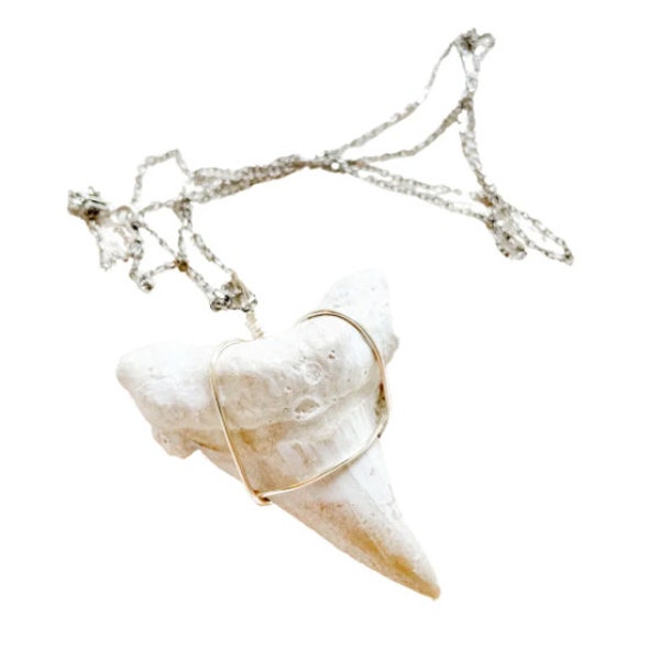 Real Extinct Otodus Shark Tooth Pendant - Etsy