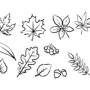 Autumn Leaves Clipart Collection - Etsy