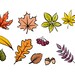 Autumn Leaves Clipart Collection - Etsy