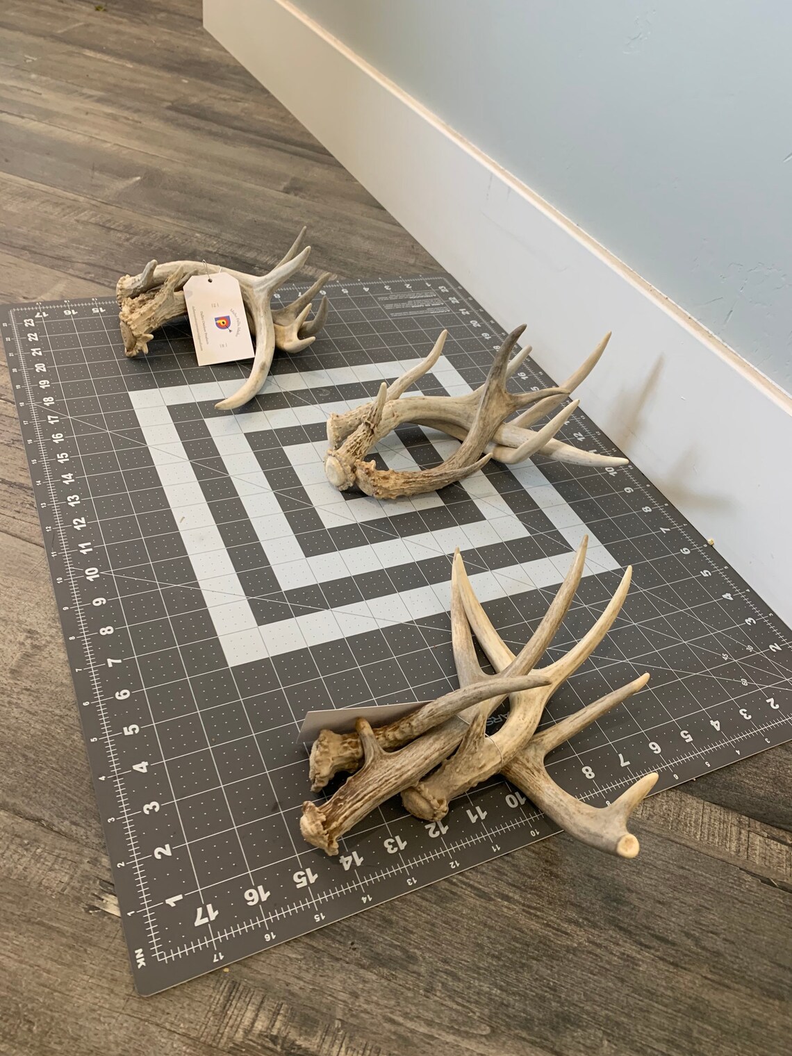 Small Deer Antlers 3 Pack - Etsy