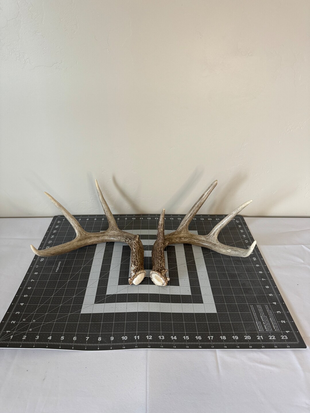 Deer Antler Heavy Matched Set. Whitetail Deer Antlers Horns 4x4 - Etsy
