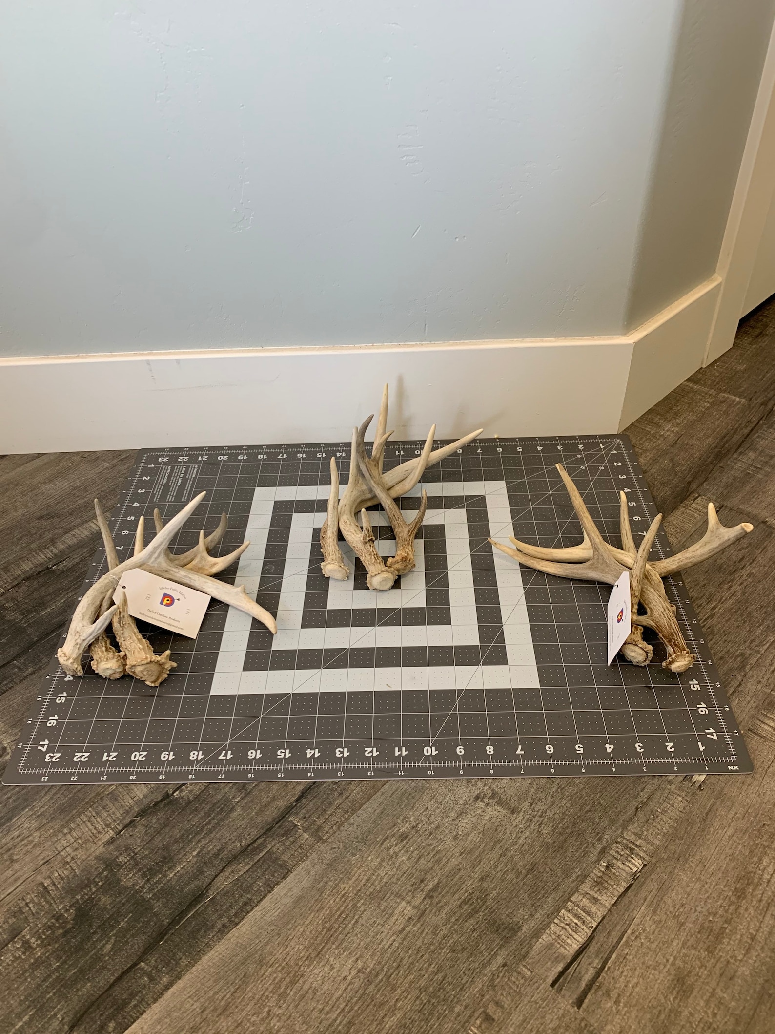 Small Deer Antlers 3 Pack - Etsy