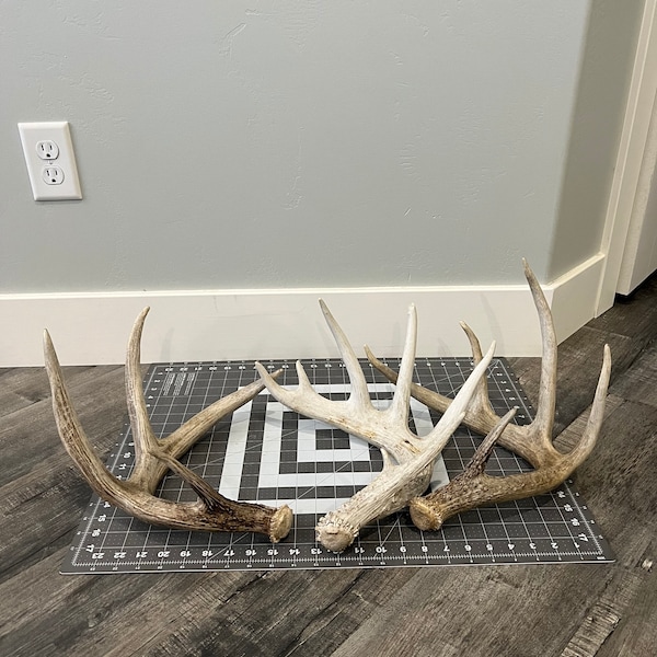 Antler Shed Svg - Etsy