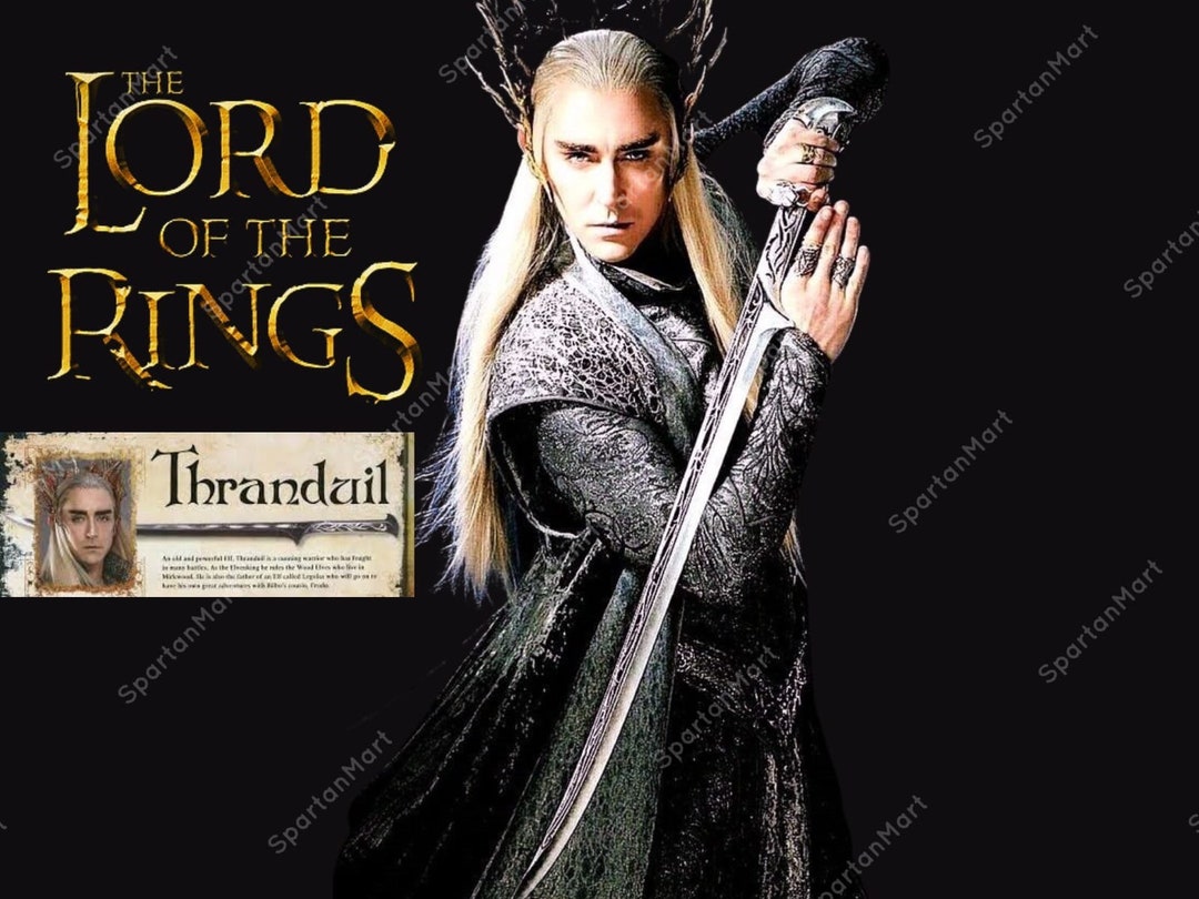 Custom Forged Stainless Steal Lord of the Rings Movie Swords High Quality Replica Cosplay ...