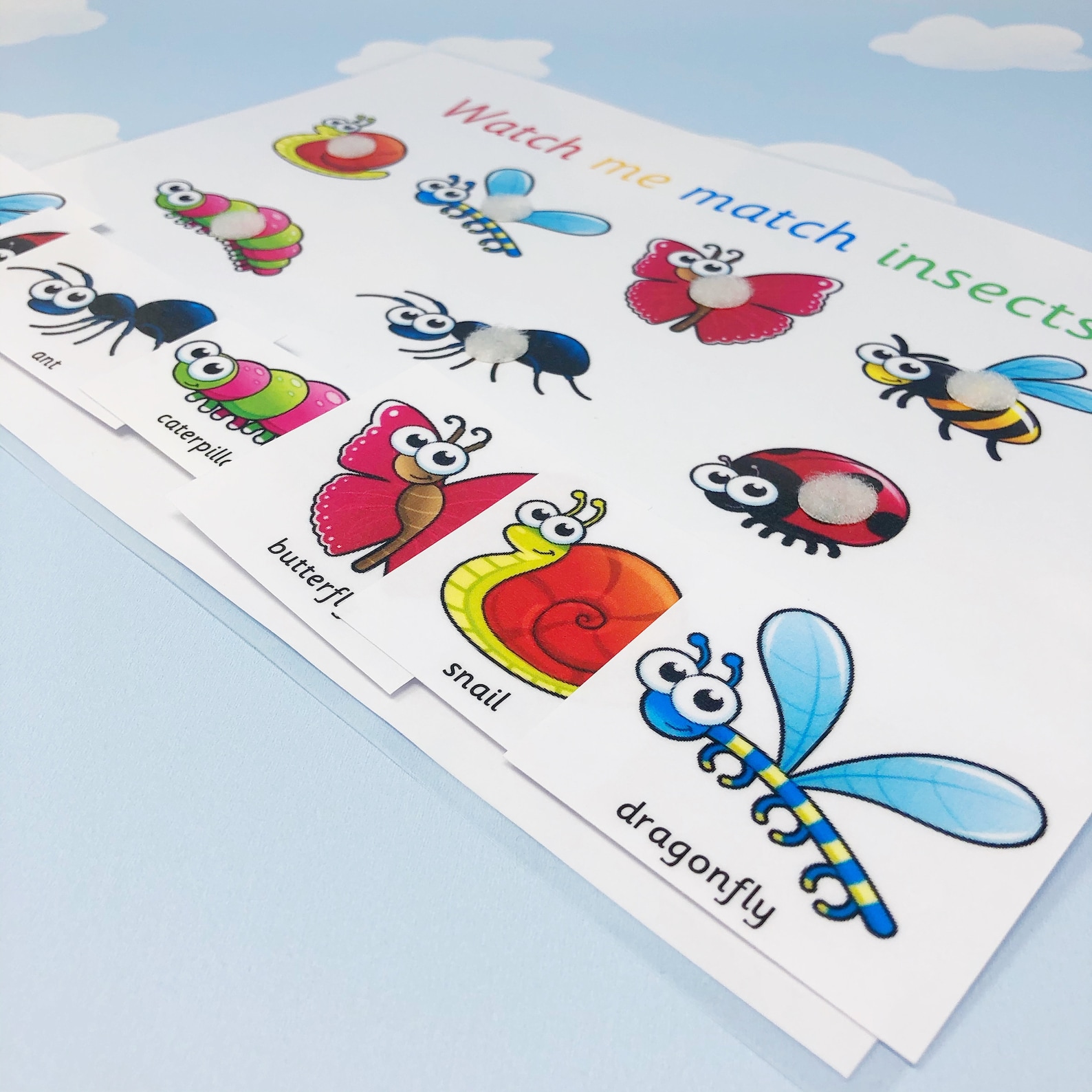 Bugs and Insects - Learning Sheet - Downloadable - Nursery - Preschool ...