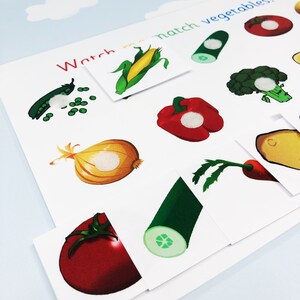Fruits Learning Sheet - Busy Book Activities - Preschool Worksheet ...