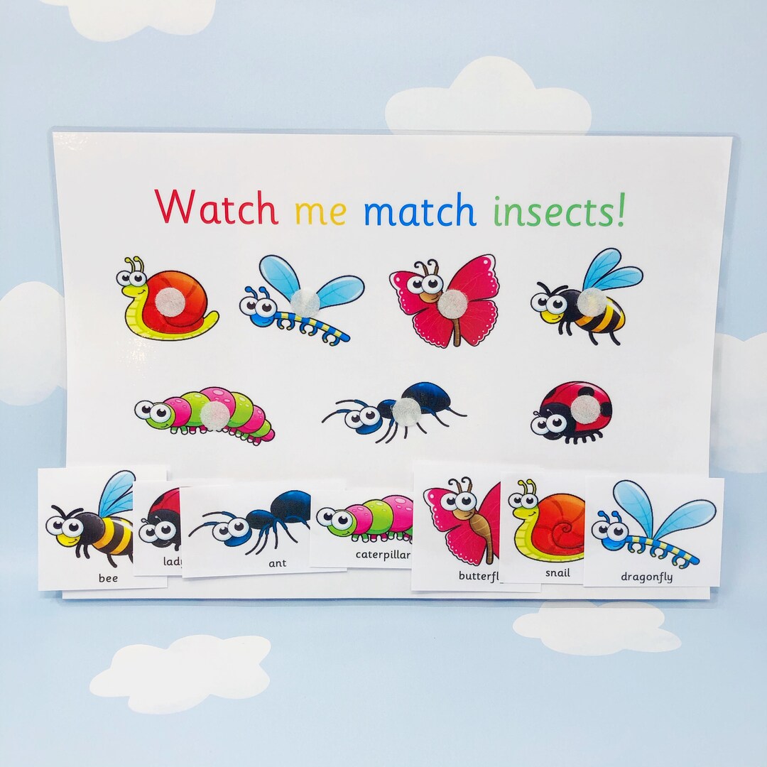 Bugs and Insects - Learning Sheet - Downloadable - Nursery - Preschool ...