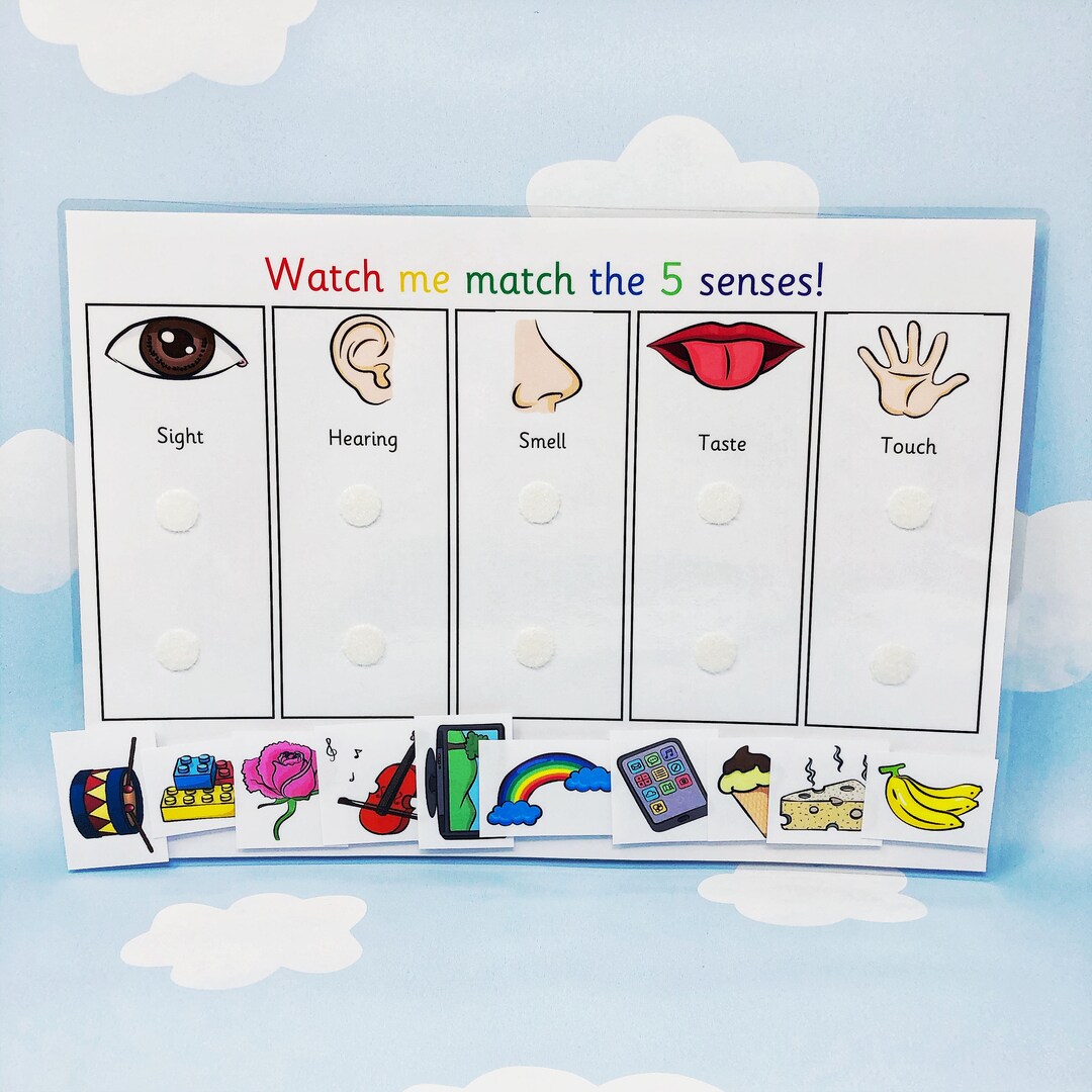 5 Senses - Learning Sheet - Matching Game - Science - Nature - Teaching ...