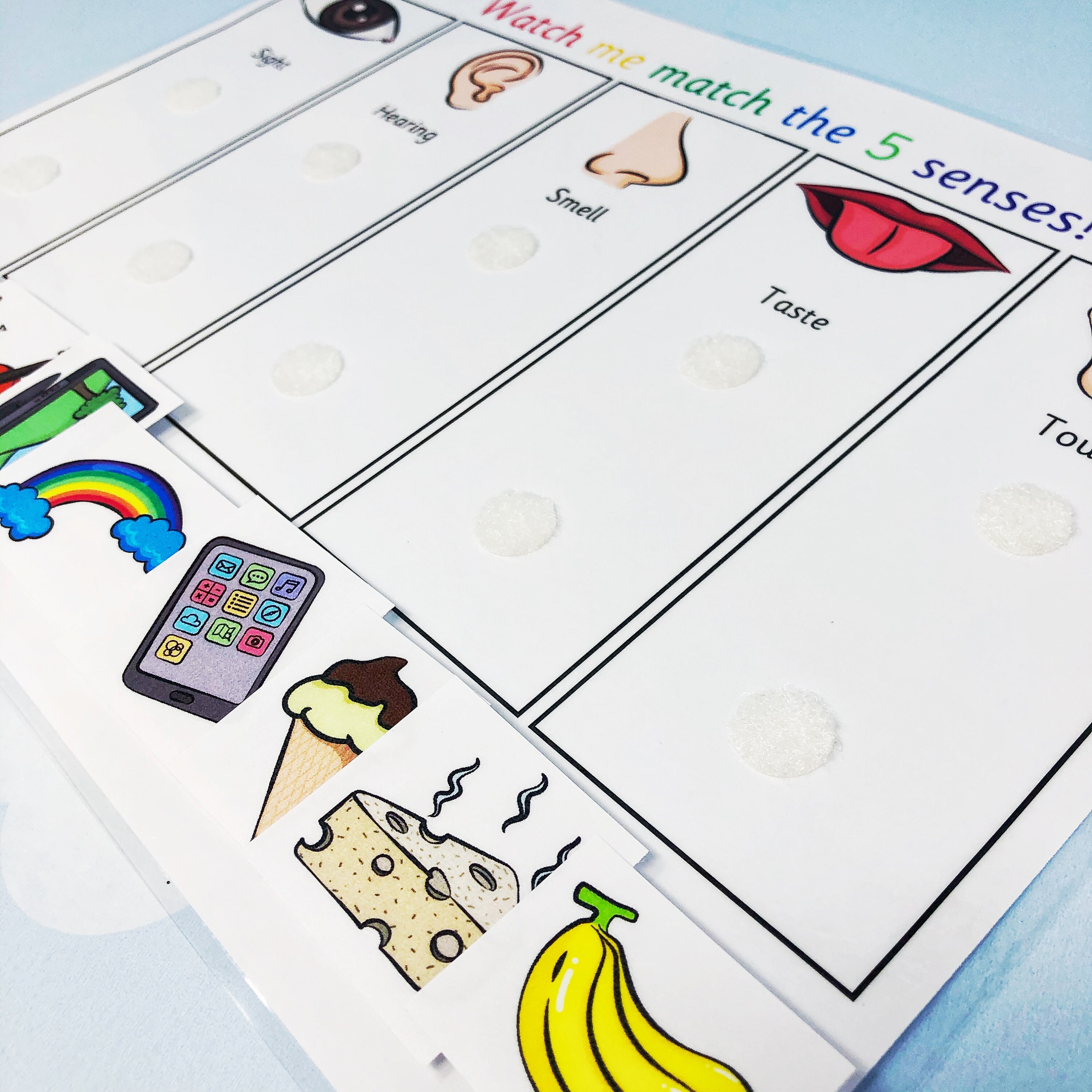 5 Senses - Learning Sheet - Matching Game - Science - Nature - Teaching ...