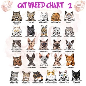 Custom Cat Shirt, Comfort Colors Shirt, Personalized Cat Shirt, Cat ...