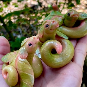 Snap Dragon Vines - Etsy