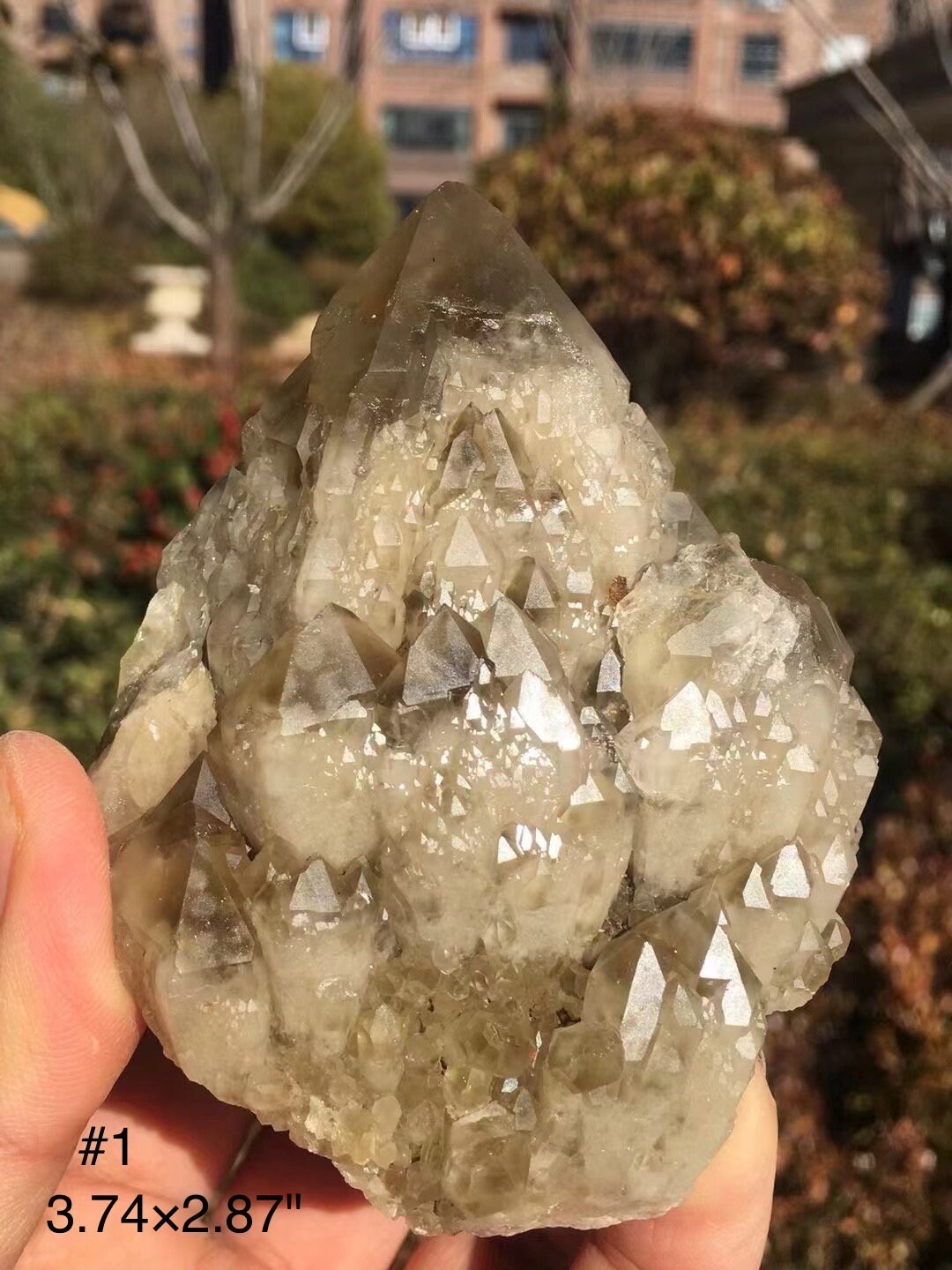 Smoky Skeletal Crystal, Skeletal Citrine Quartz, Elestial Quartz ...