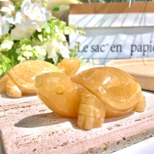 Green Jade Sea Turtle Carvings , Carved Crystal Turtle , Crystal Animal ...