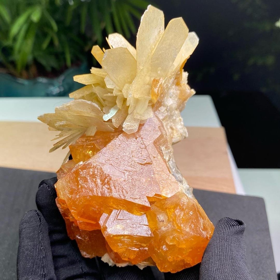 Natural Scheelite With Mica on Quartz, Gorgeous Mineral Specimens ...