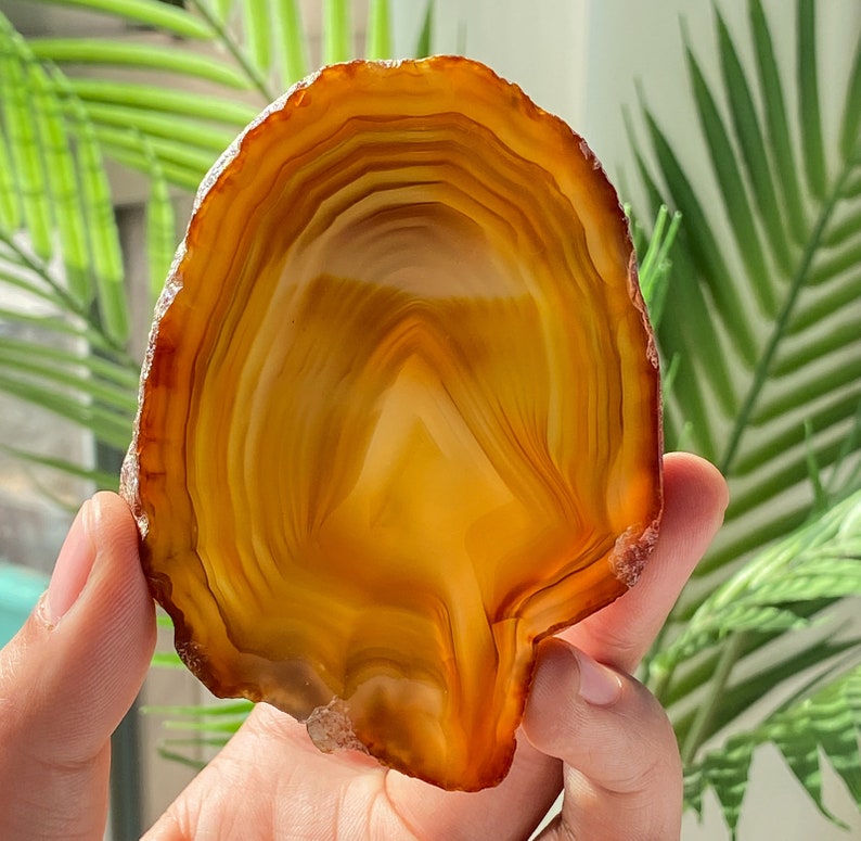 Natural Agate Slice Slab Coaster Cabochons Amazing Quality - Etsy