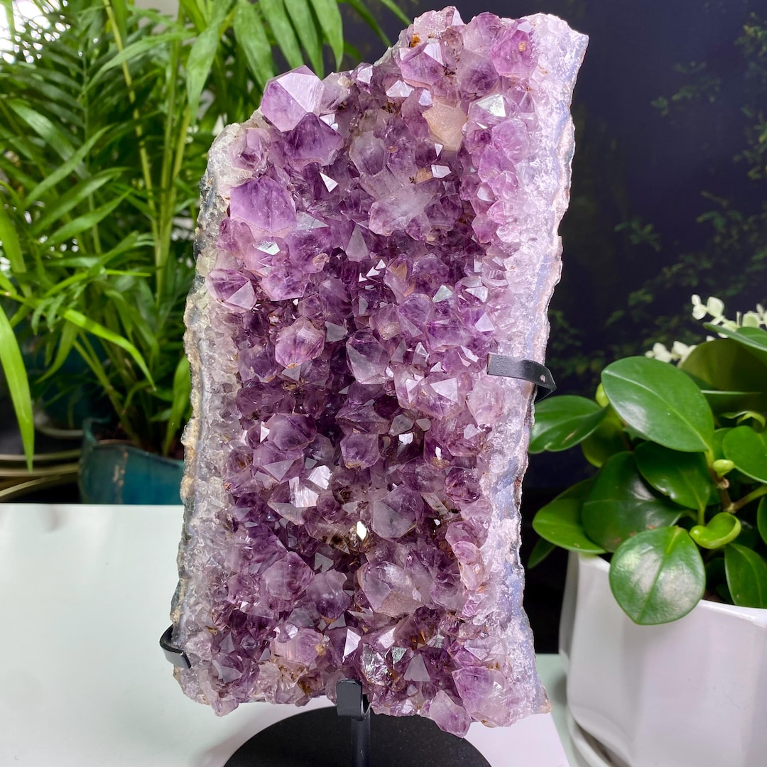 Druzy Big Teeth Amethyst With Rutilated Quartz Cluster, Healing Heart ...