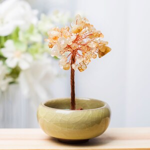 Fengshui Gemstone Chakra Crystal Chips Tree, 7 Chakra Crystal Tree of ...