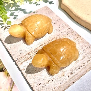 Green Jade Sea Turtle Carvings , Carved Crystal Turtle , Crystal Animal ...