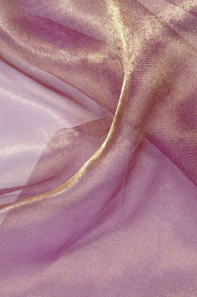 Eggplant Gold Metallic Organza Fabric - Etsy