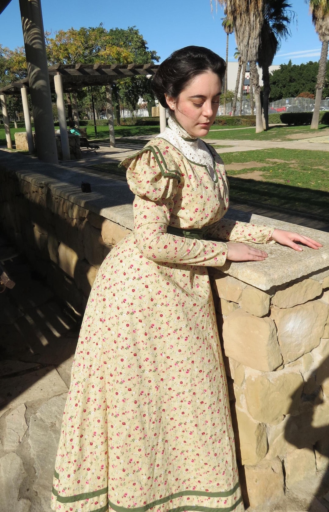 Late Victorian Dress Day Dress, 1890s Walking Dress - Etsy
