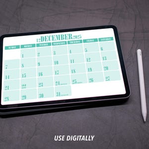 2025 Calendar Printable Calendar Digital Calendar PDF Calendar Instant ...