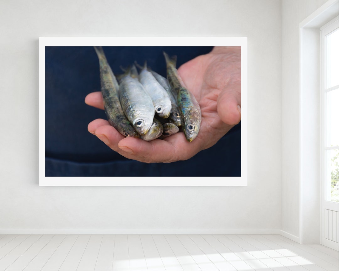 Greek Sardines Photo Print | Digital Download | Wall Art Greece | Food ...