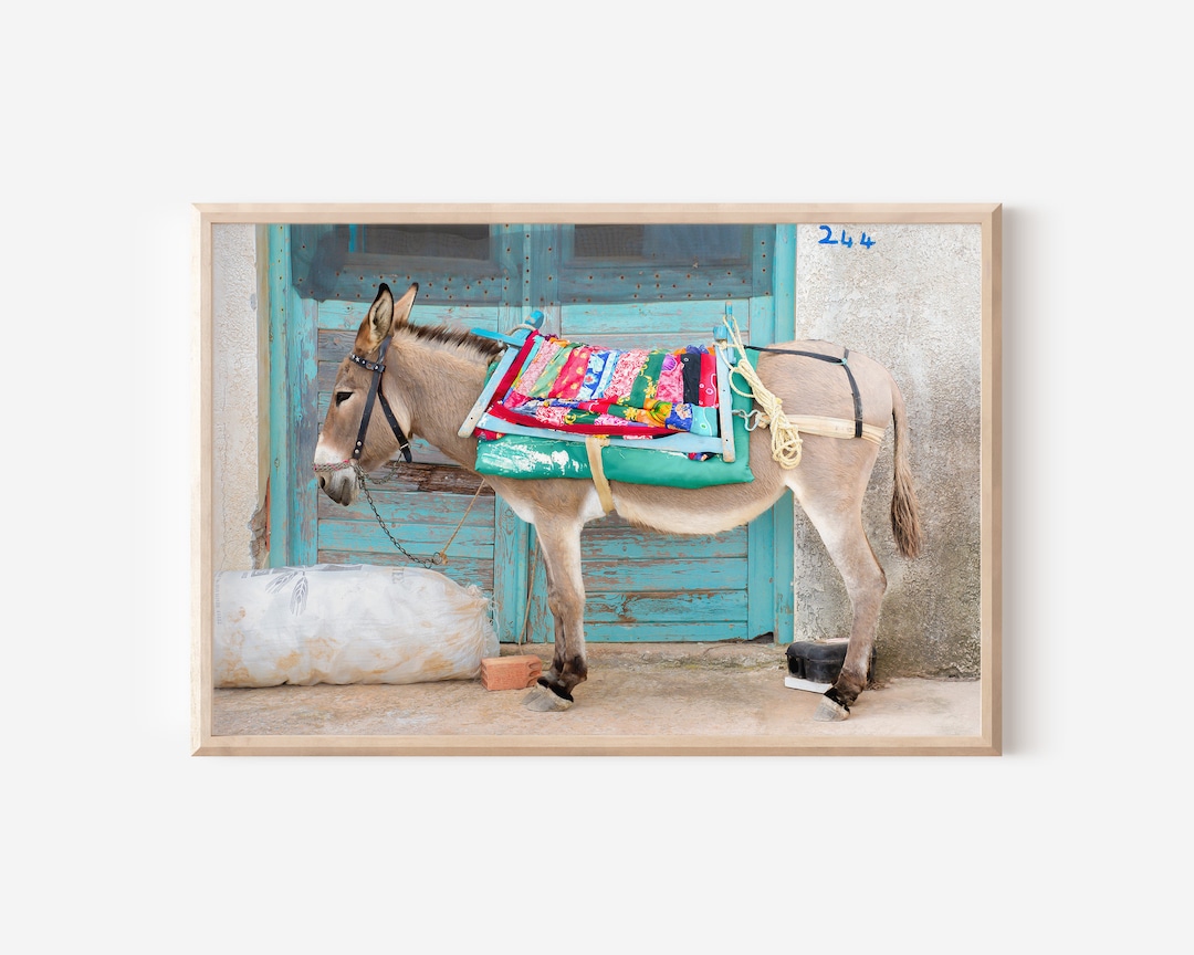 Greek Donkey | Digital Download | Wall Art Greece | Mediterranean Art ...