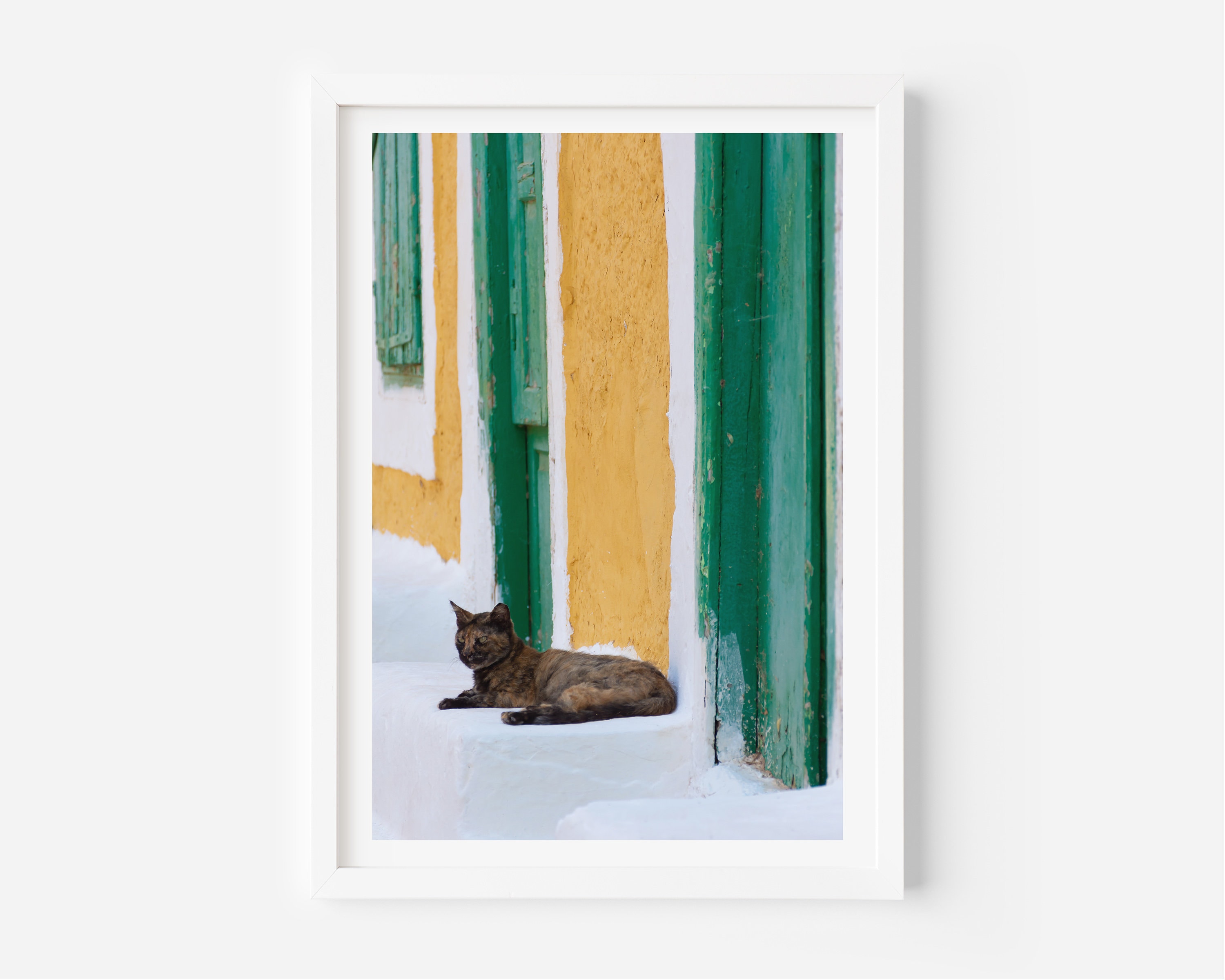 Greek Cat Photo Print | Digital Download | Wall Art Cats ...