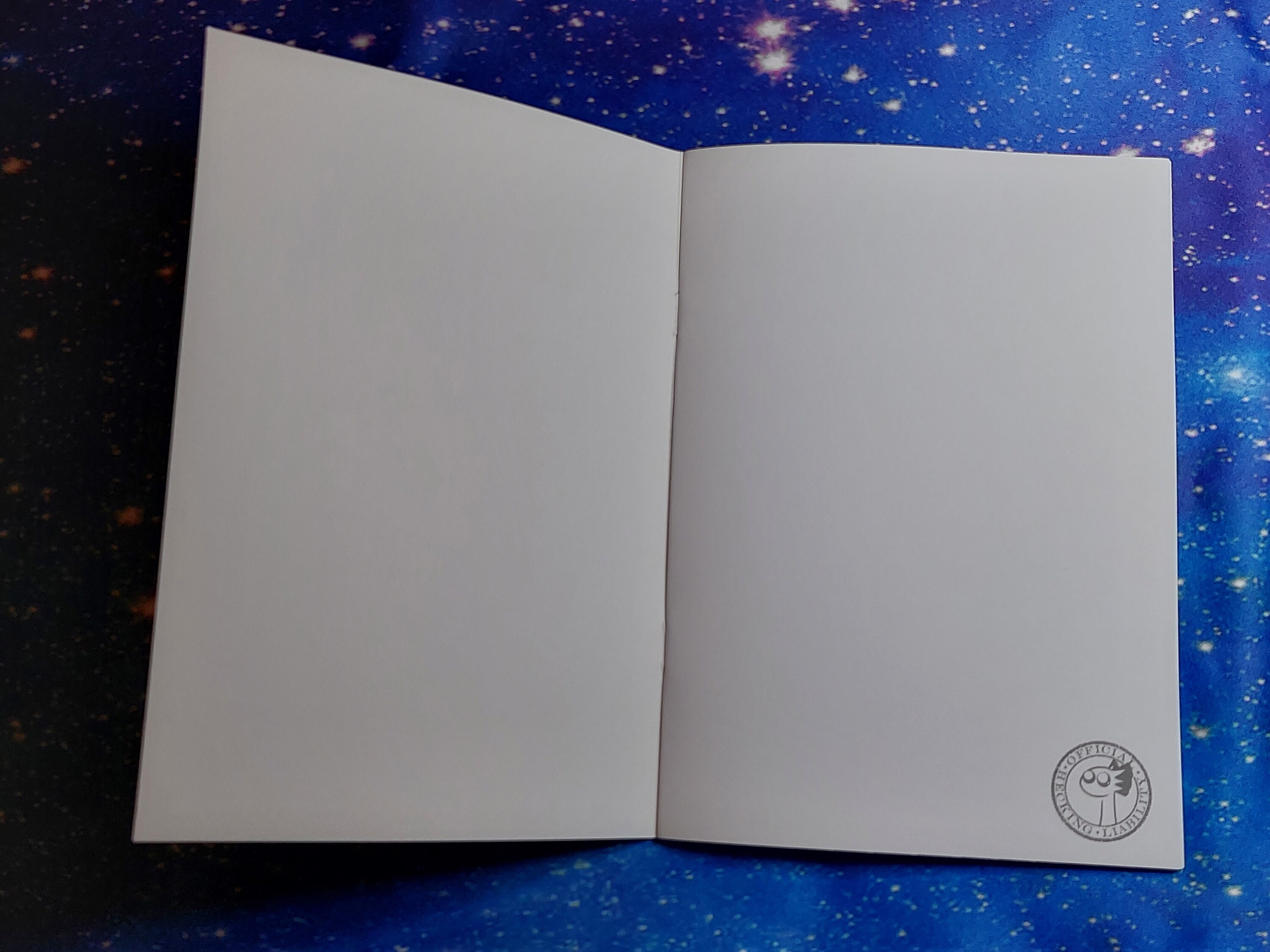 Space Axolotl: Official Hecking Liability Notebook - Etsy