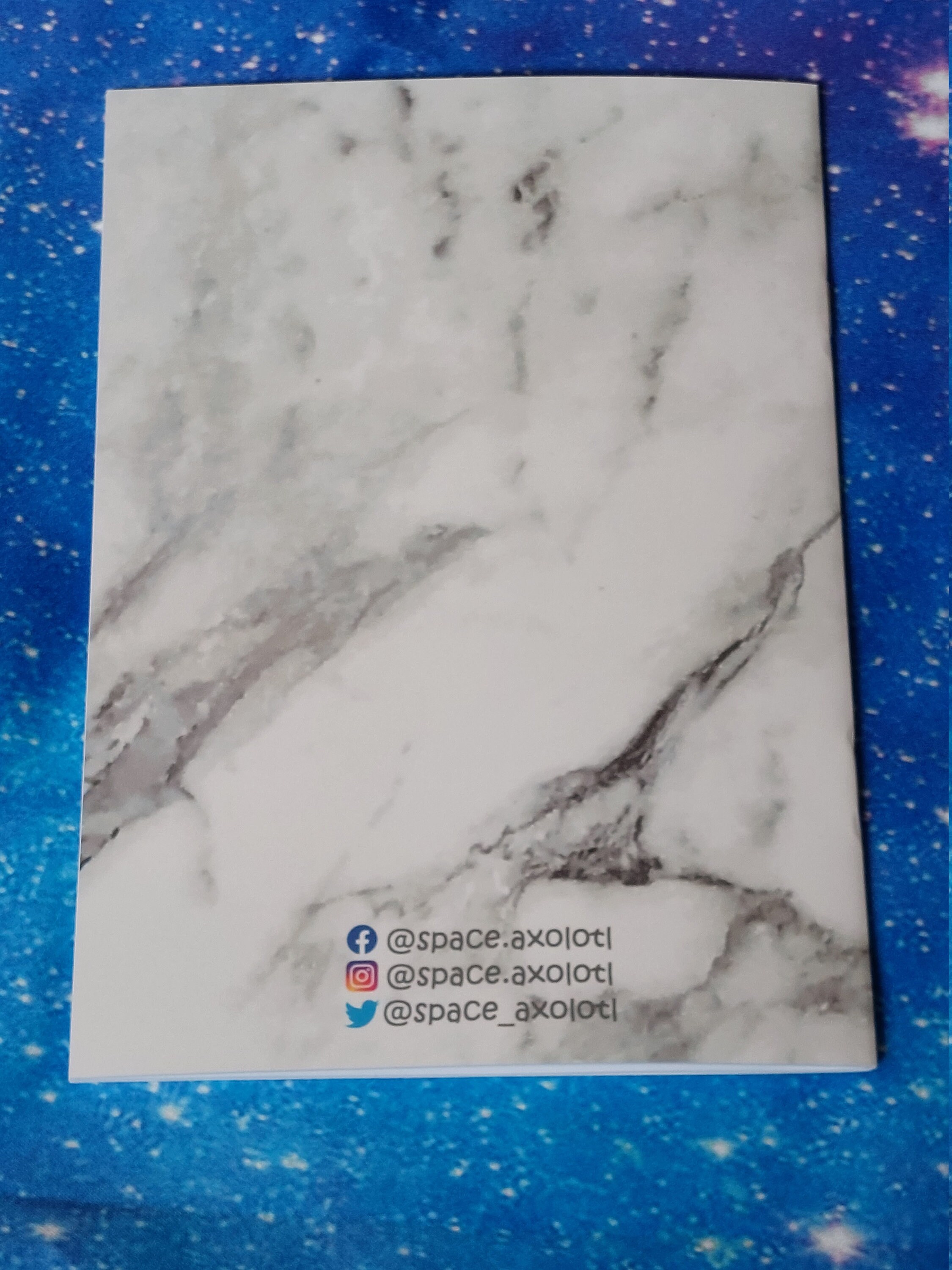 Space Axolotl: Official Hecking Liability Notebook - Etsy