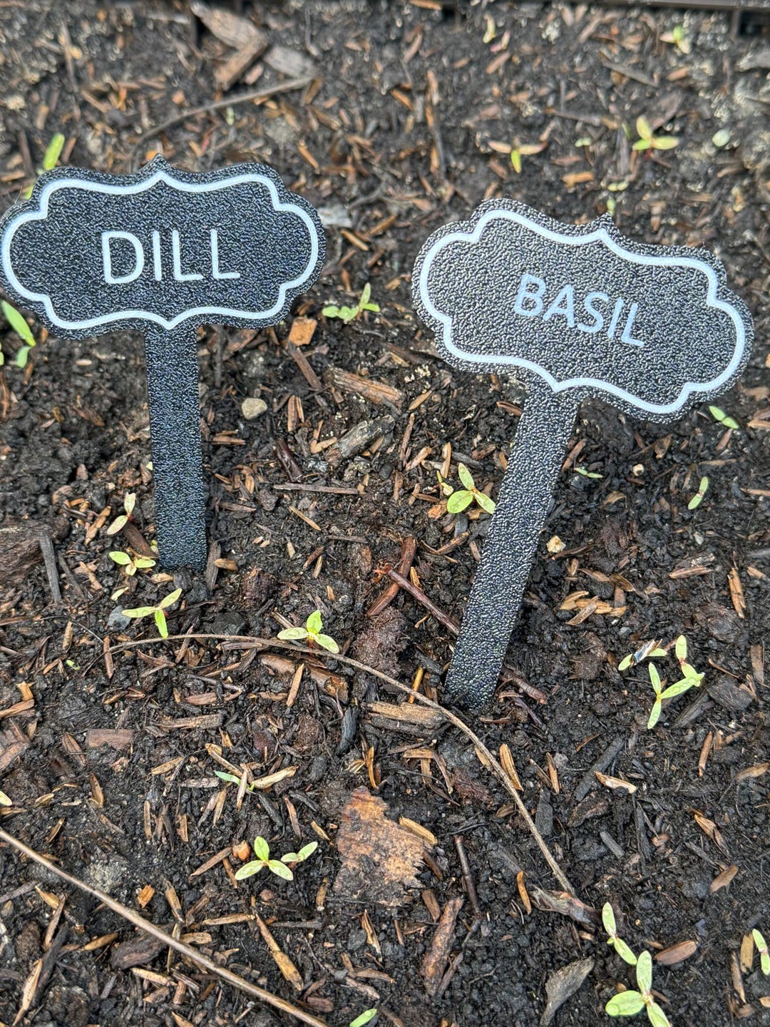 Garden Tags | Vegetable Marker | 3D Printed | Garden Orangization - Etsy