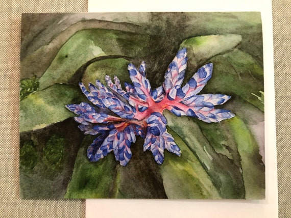 Blue Rain Bromeliad Greeting Card | Etsy