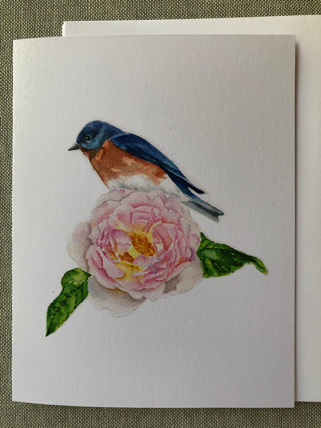 Eastern Bluebird Rose - Etsy