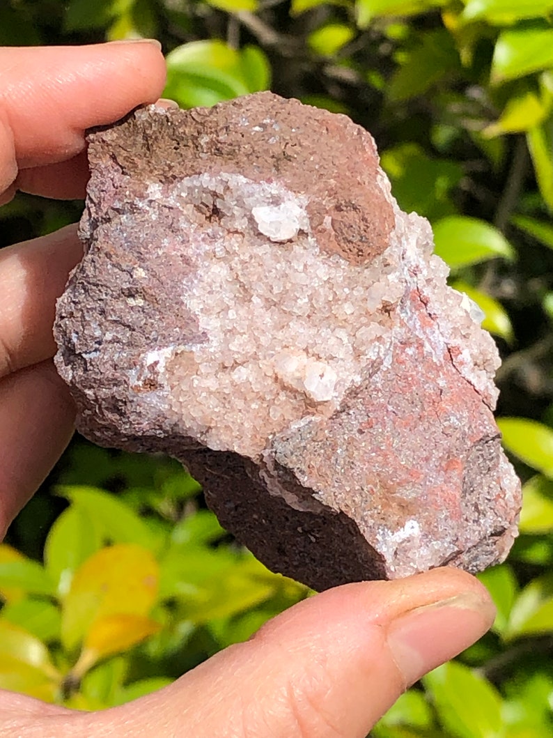 Aranga Quarry, New Zealand. Calcite on Red Basalt Matrix - Etsy
