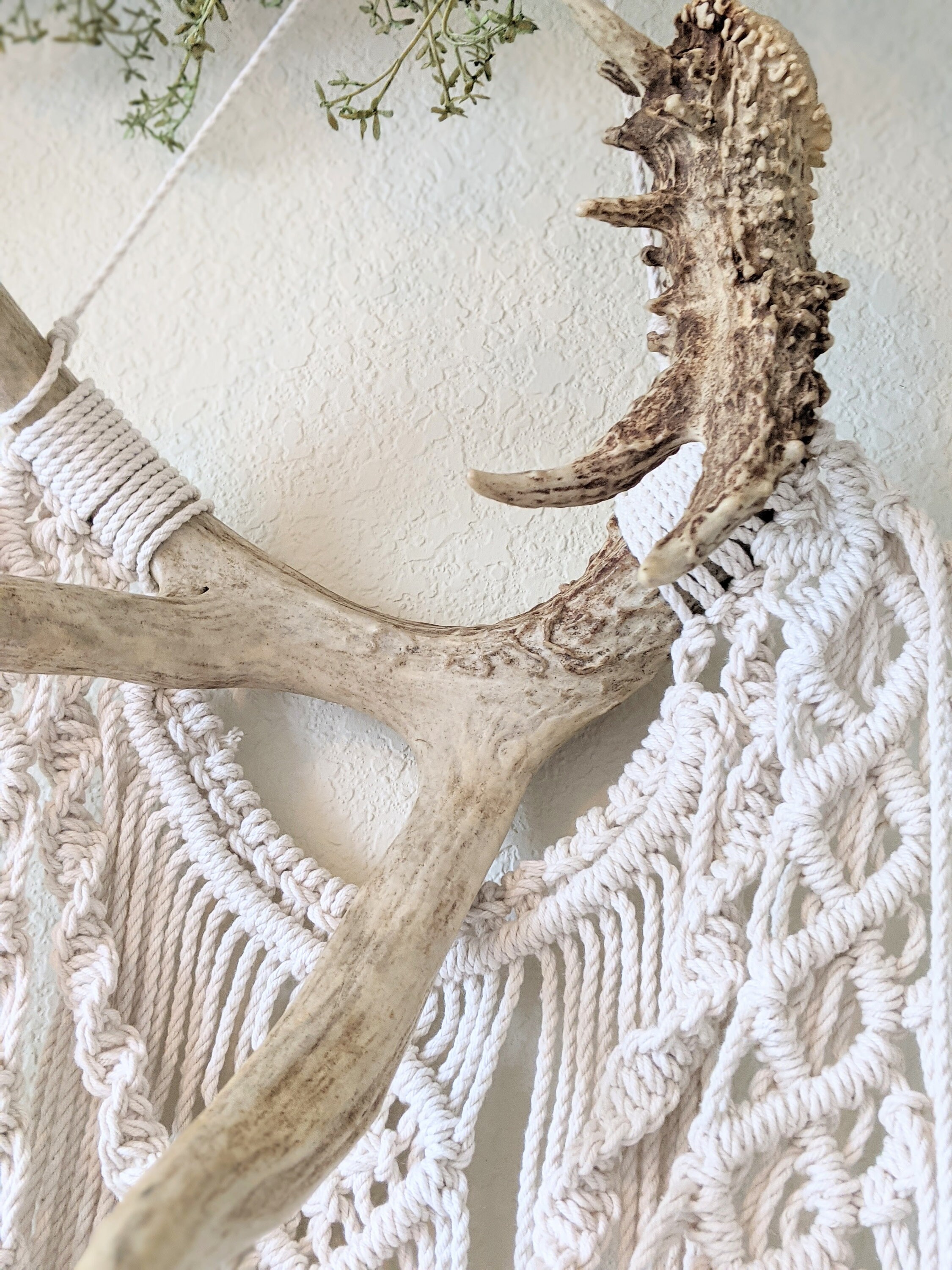 Deer Antler Macrame Wall Hanging - Etsy UK
