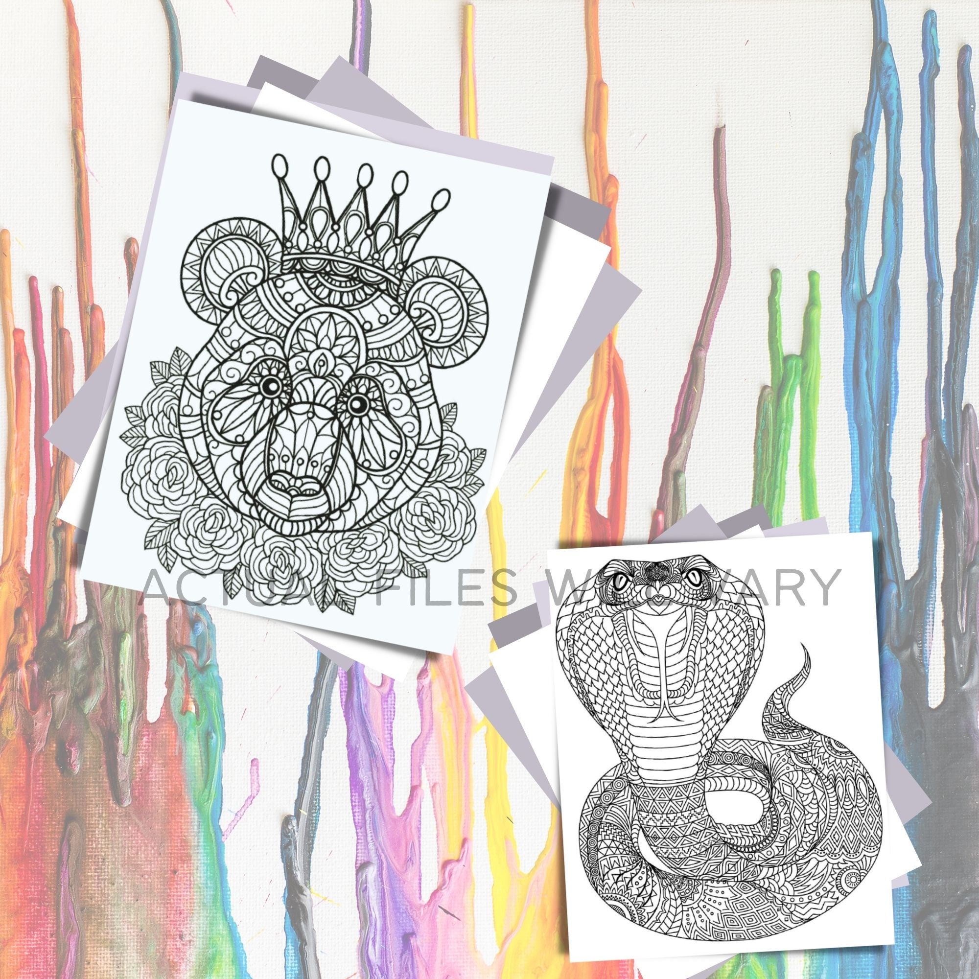 Animals: Volume 3 Animal Coloring Pages Instant Download Printable ...