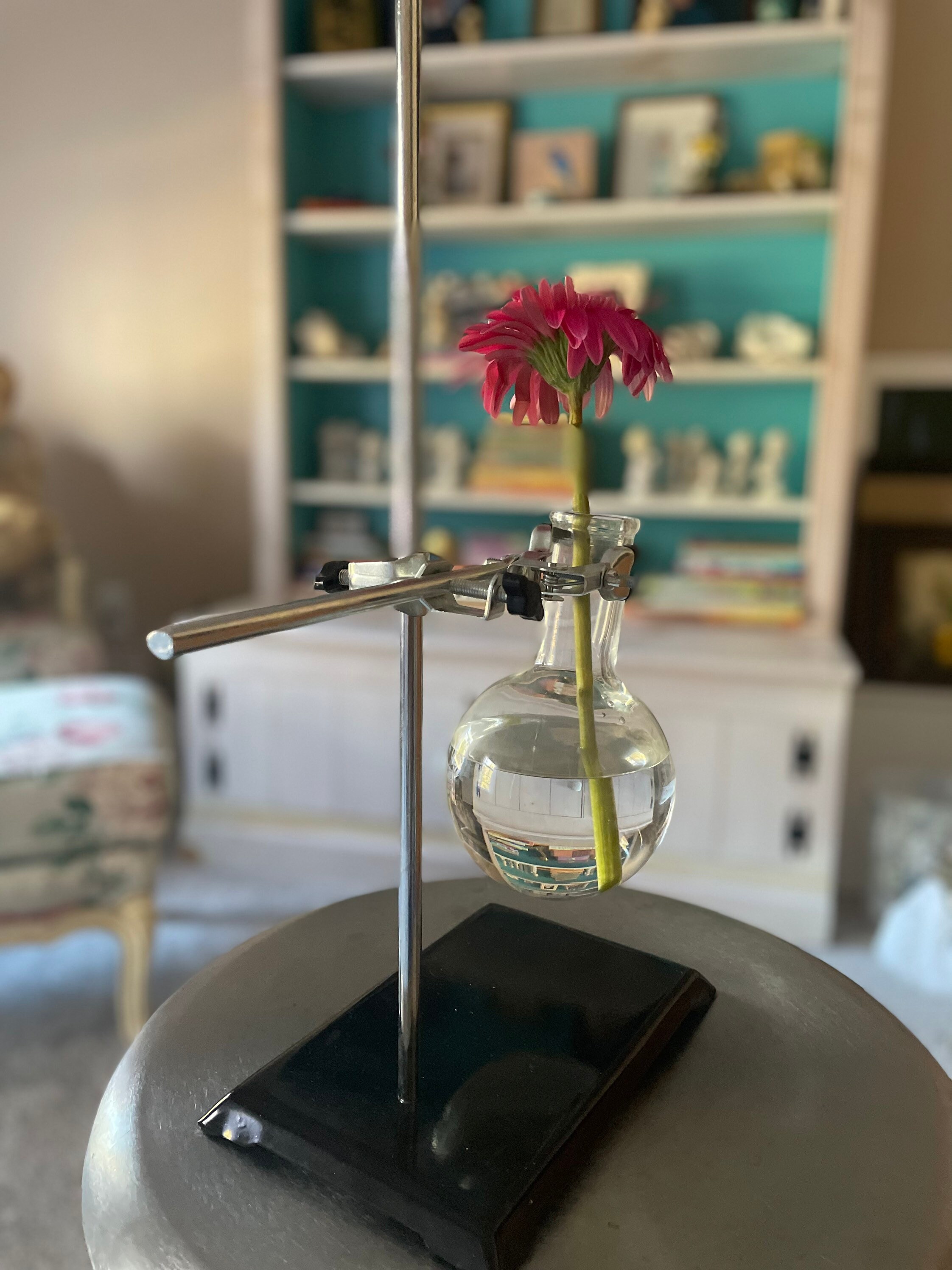 Chemistry Beaker Flower Vase/ Chemistry Teacher Gift/ Lab Tech Gift ...