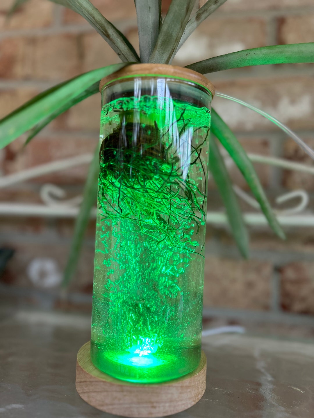 Bubbling Glass Propagation Vase W/ LED Light, Bamboo Plant Holder With ...