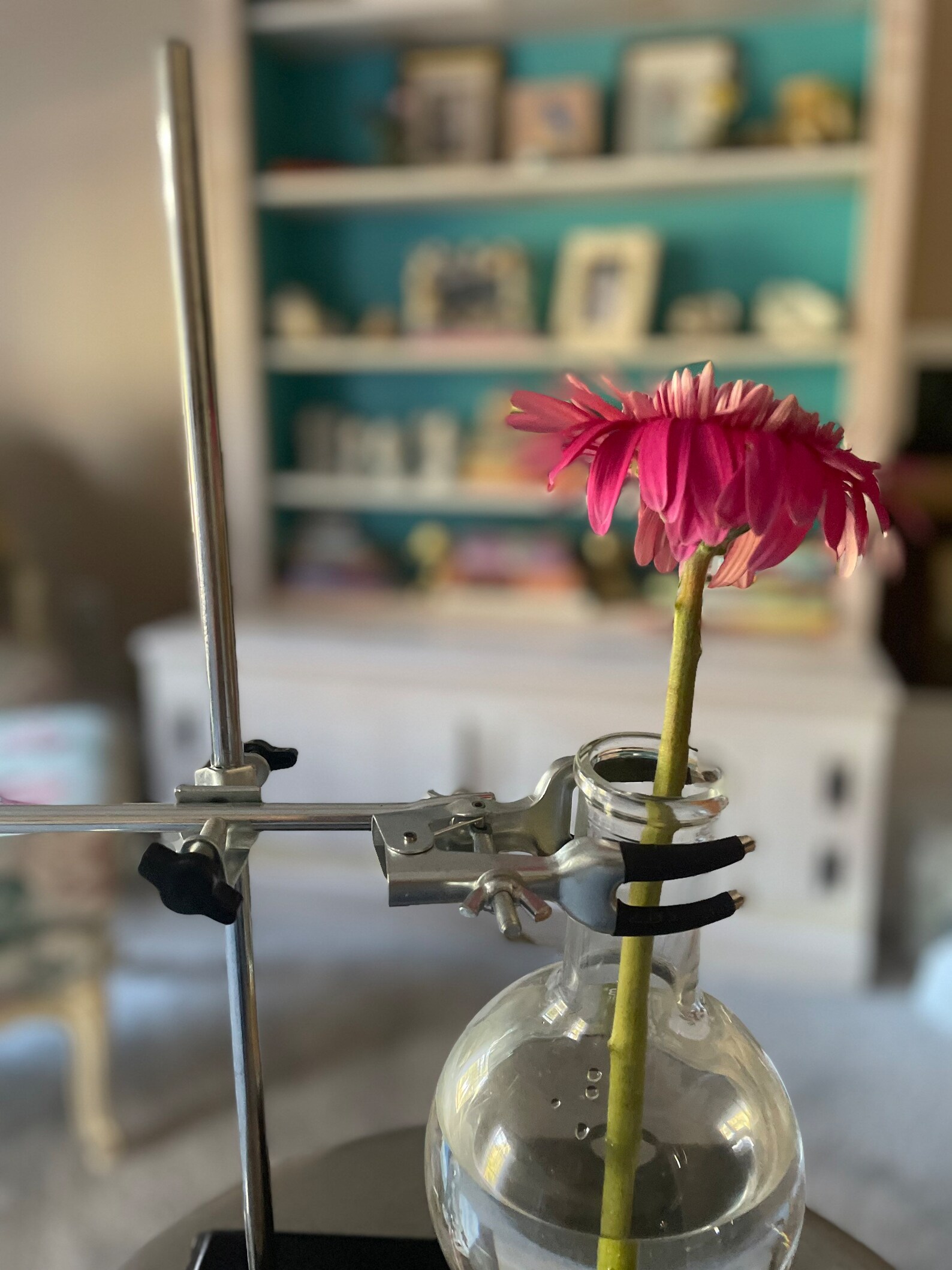 Chemistry Beaker Flower Vase/ Chemistry Teacher Gift/ Lab Tech Gift ...