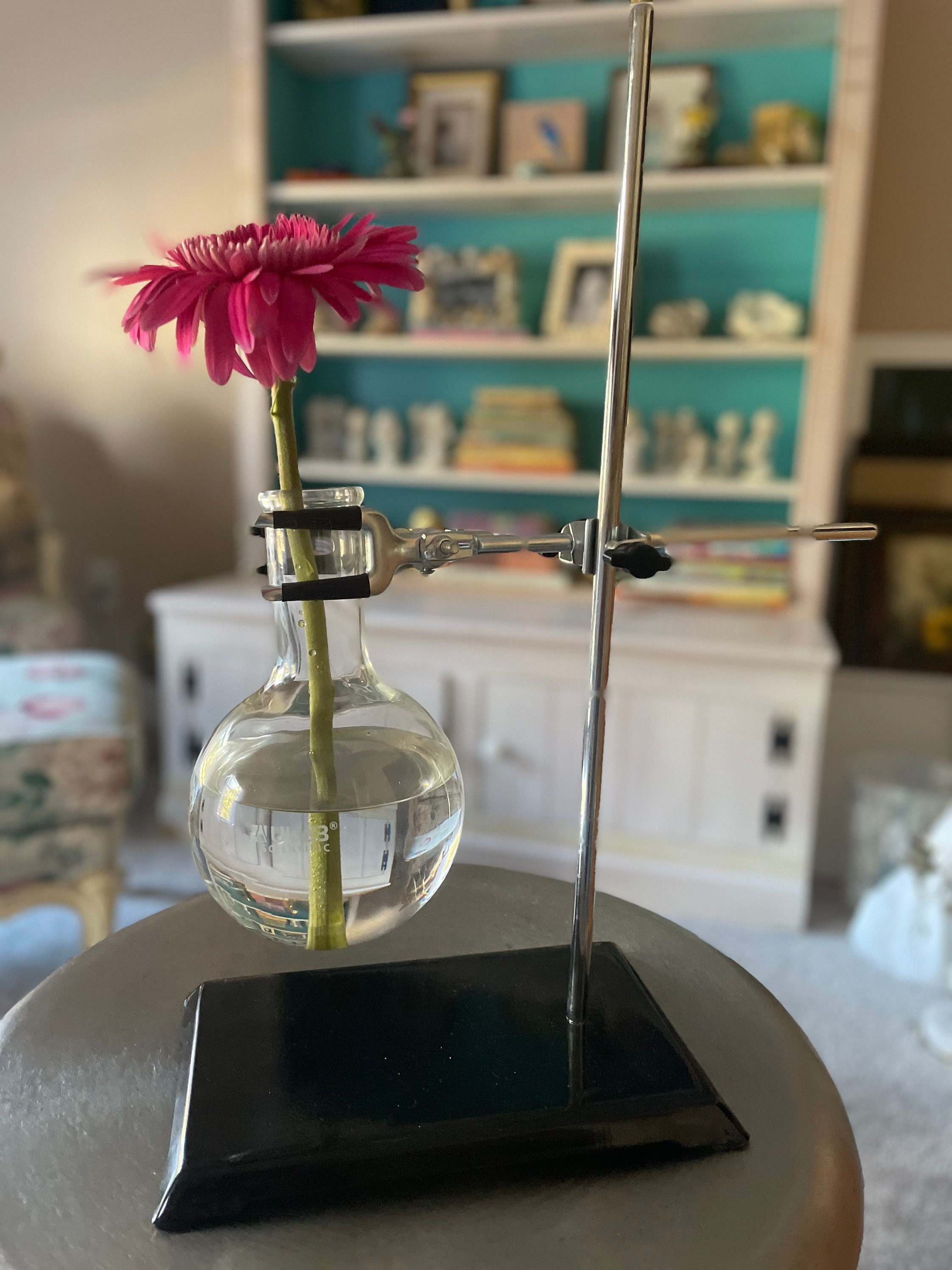 Chemistry Beaker Flower Vase/ Chemistry Teacher Gift/ Lab Tech Gift ...