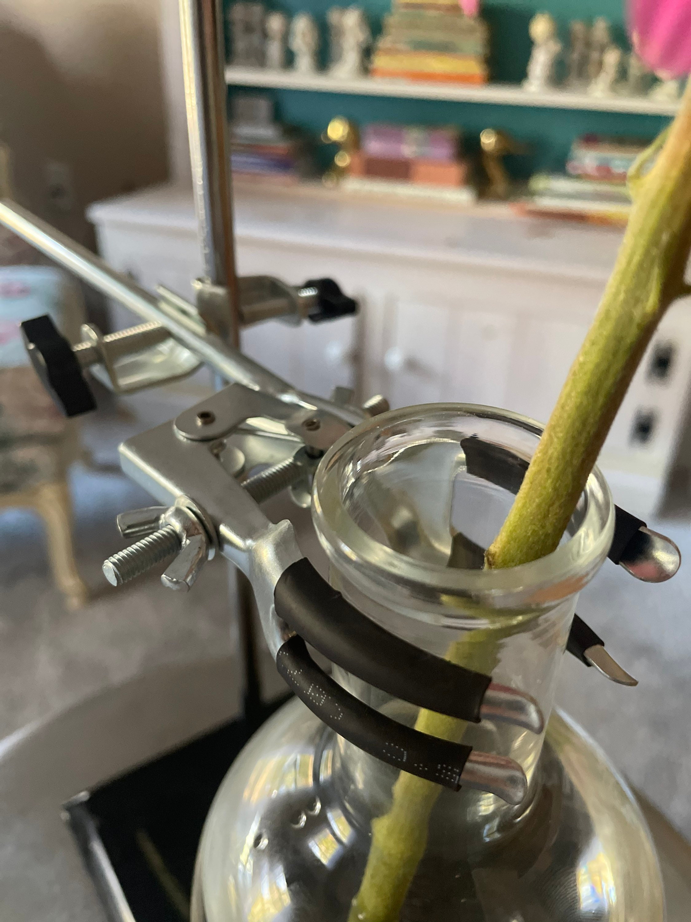 Chemistry Beaker Flower Vase/ Chemistry Teacher Gift/ Lab Tech Gift ...