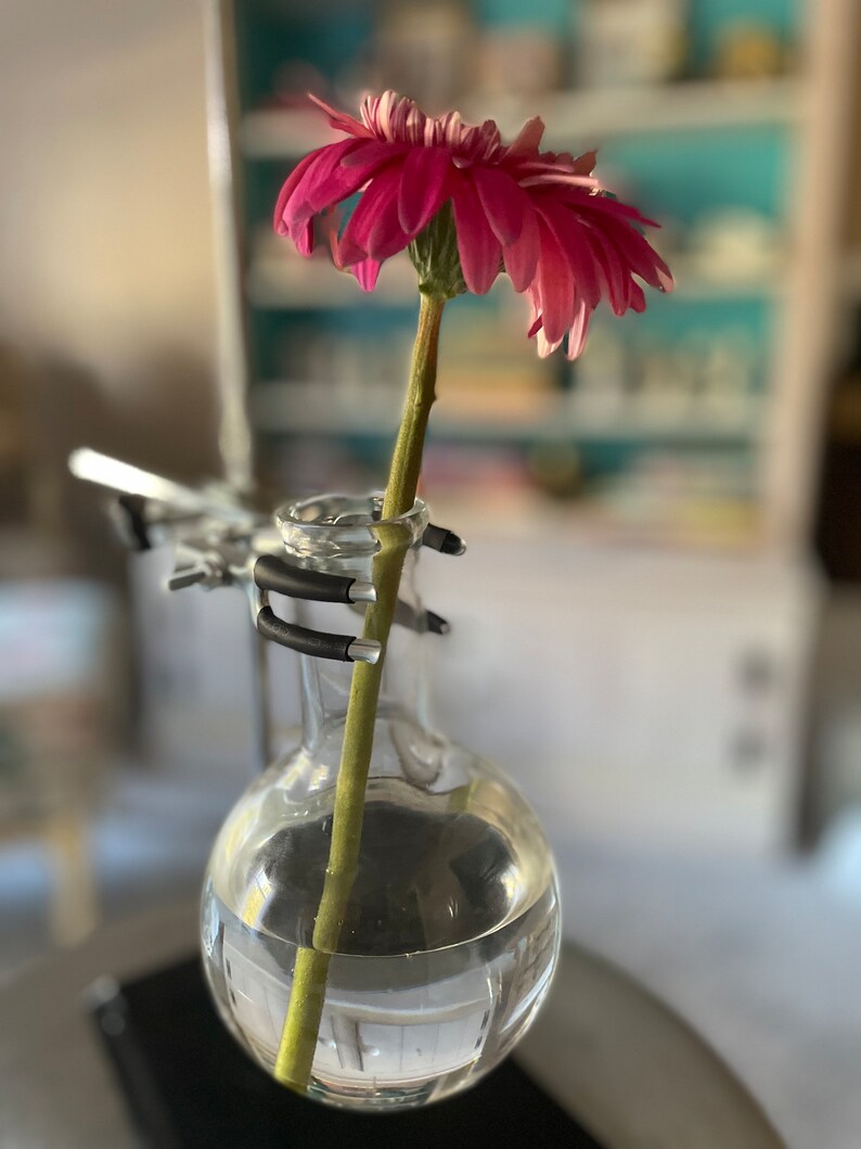 Chemistry Beaker Flower Vase/ Chemistry Teacher Gift/ Lab Tech Gift ...