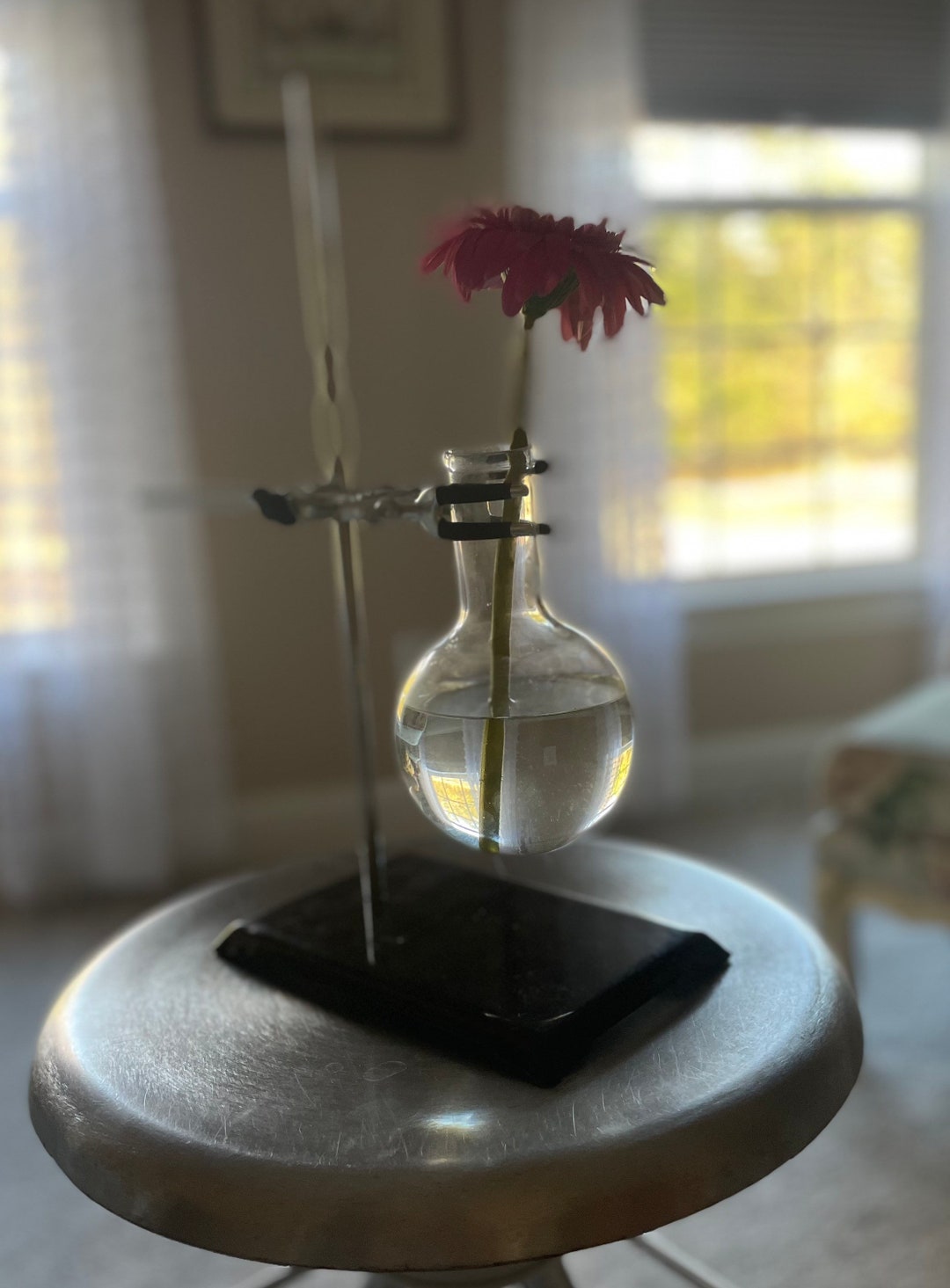 Chemistry Beaker Flower Vase/ Chemistry Teacher Gift/ Lab Tech Gift ...