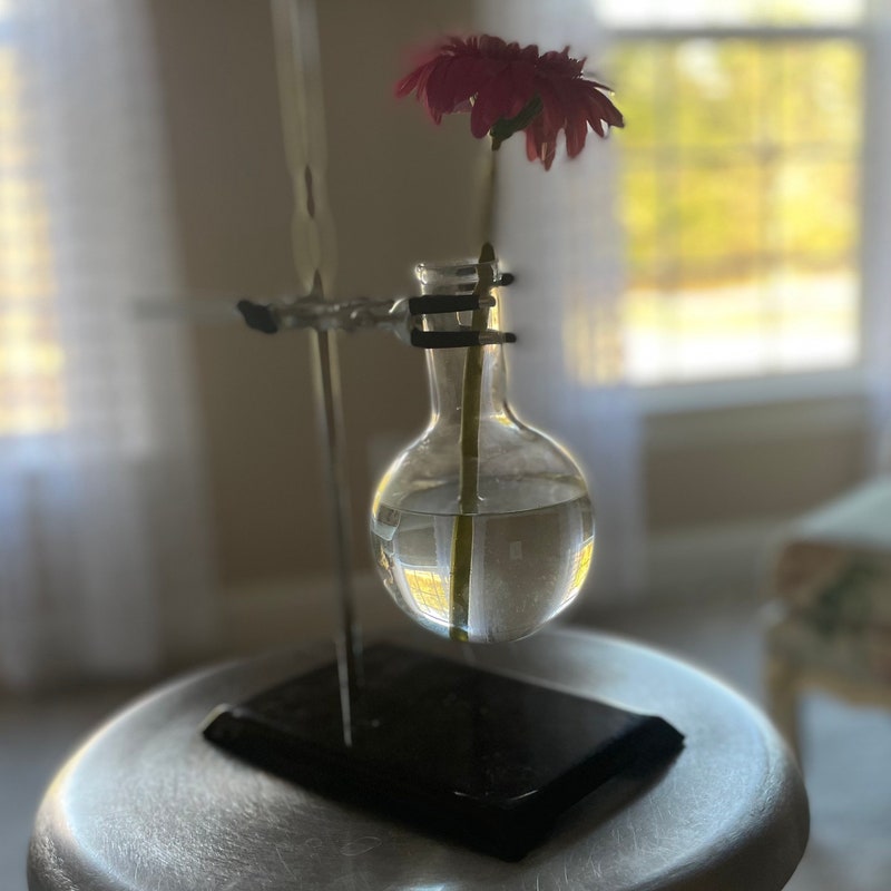 Beaker Vase - Etsy