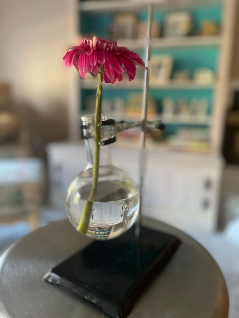 Chemistry Beaker Flower Vase/ Chemistry Teacher Gift/ Lab Tech Gift ...