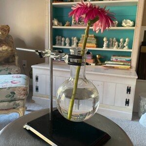 Chemistry Beaker Flower Vase/ Chemistry Teacher Gift/ Lab Tech Gift ...