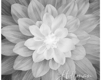 Atlantic Hoffman Dream Big Fabric Panel / Floral Quilt Panel by Hoffman ...