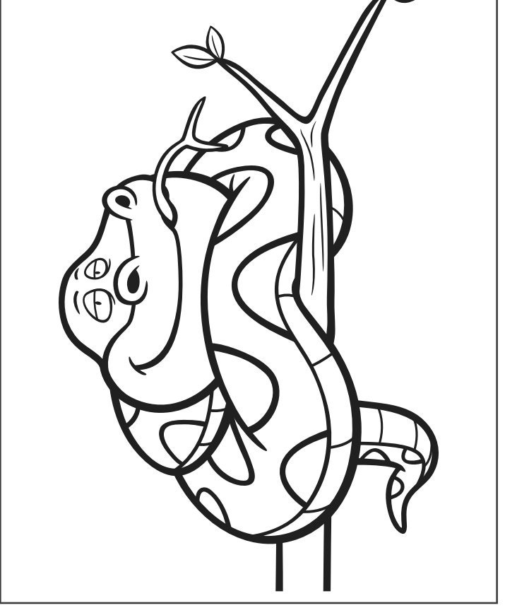 20 Fun Snake Coloring Pages for Kids . Digital Download - Etsy Canada