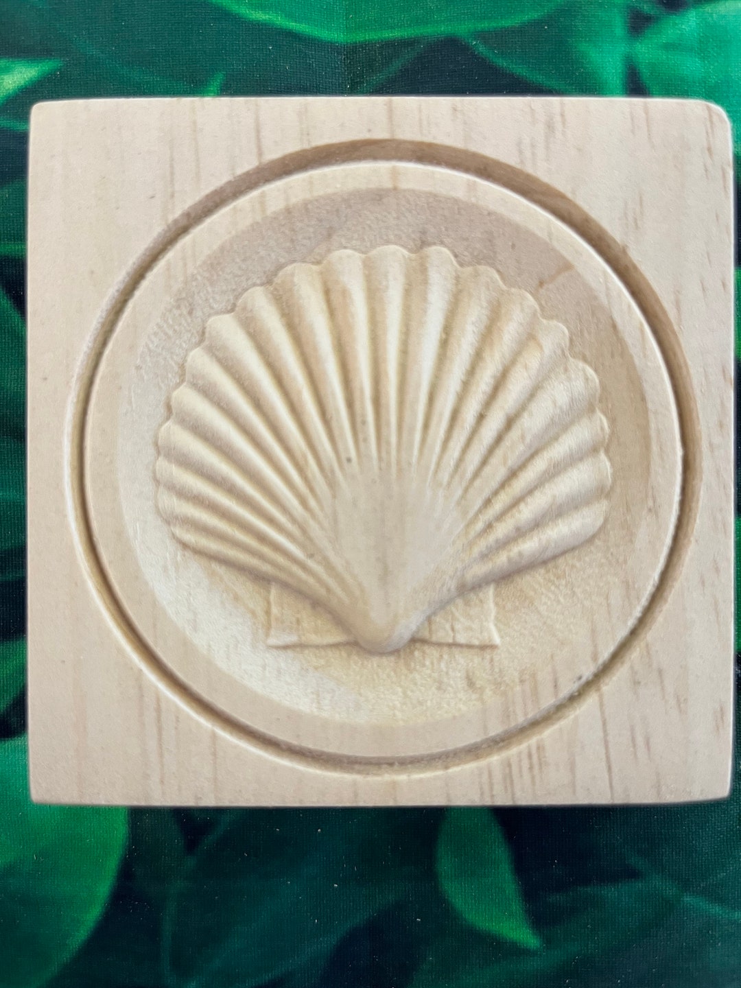 Sea Shell Rosette - Etsy