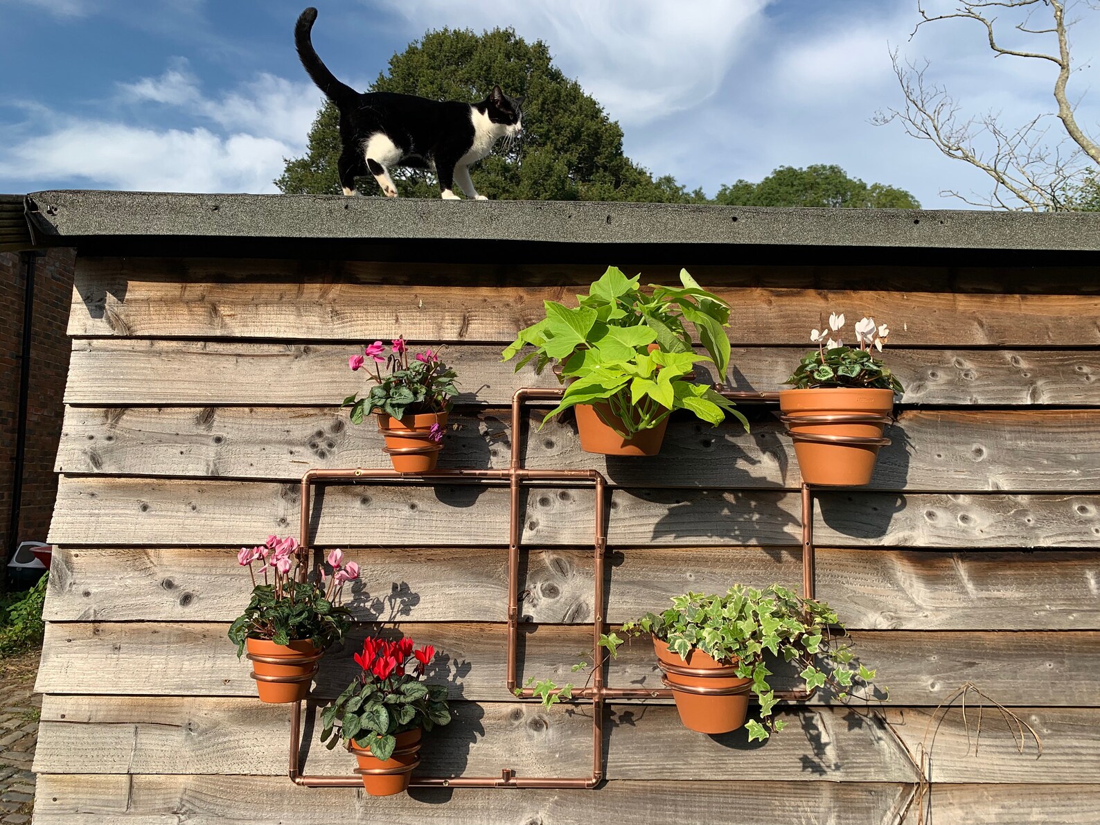 Plant Pot Wall Frame Plant Pot Holder Copper Plant Frame - Etsy